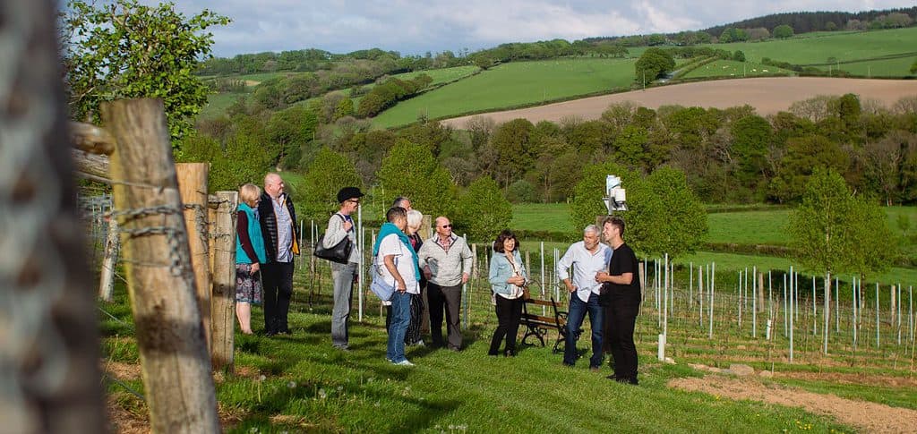 Alder Vineyard – resOS